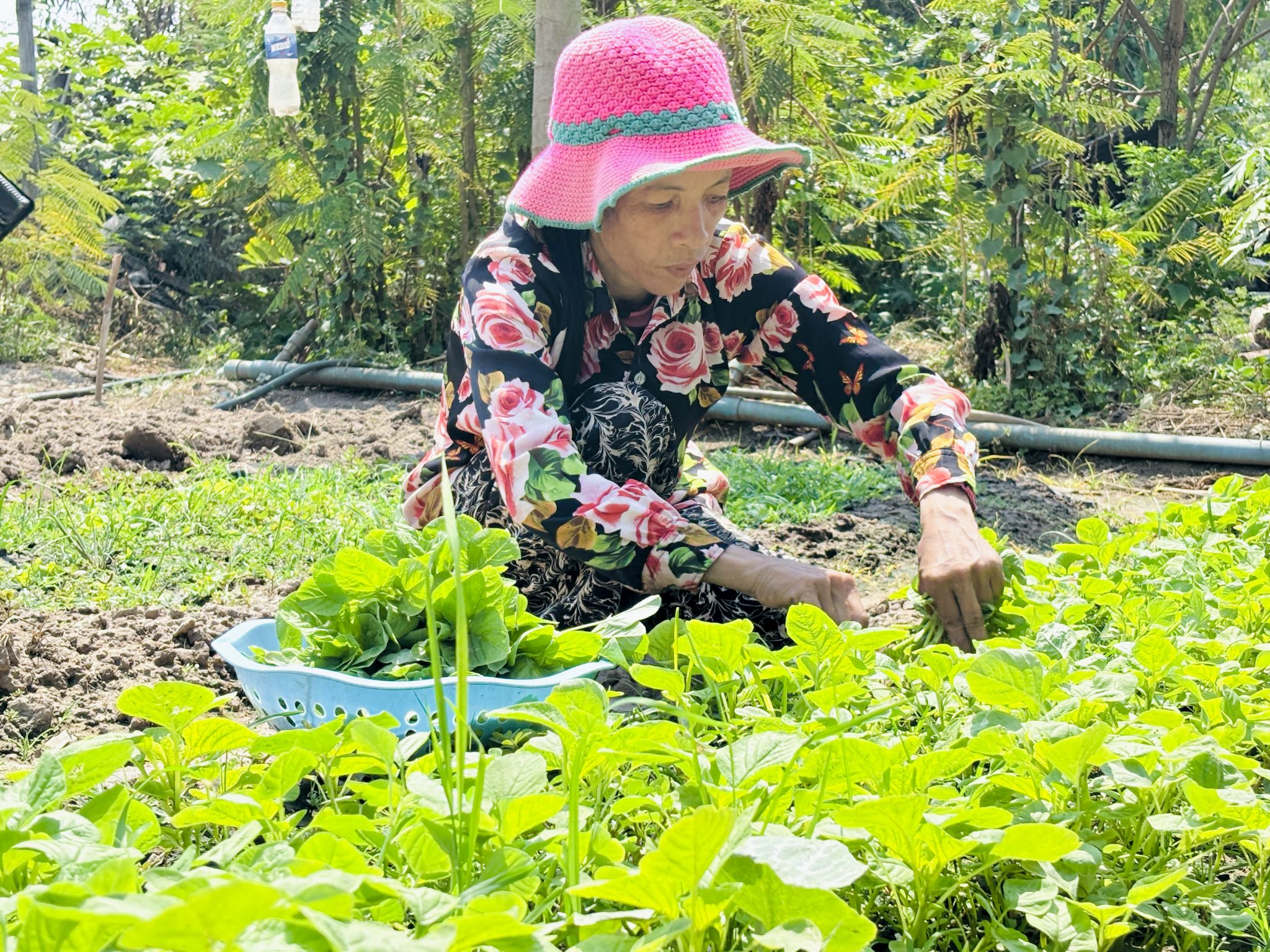 Growing a Better Future in Cambodia: Ra Vanny’s Journey to Sustainable ...